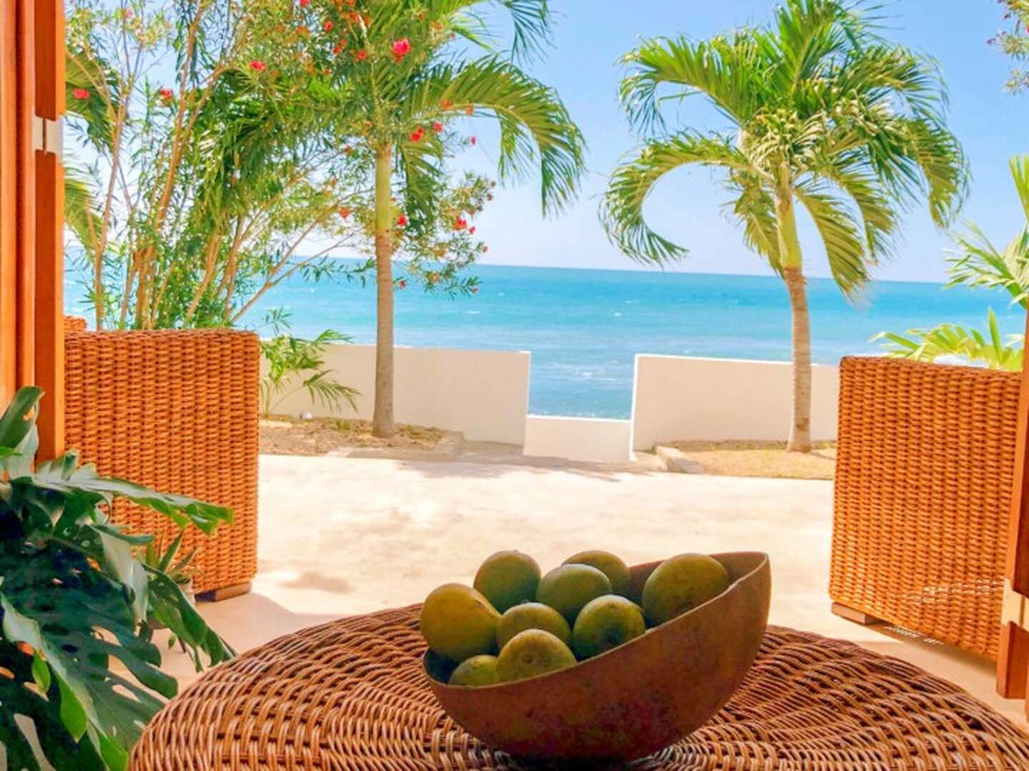 Kotch | Treasure Beach, Jamaica