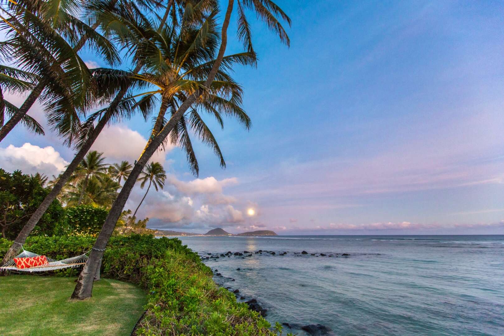Banyan House | Honolulu, Hawaii