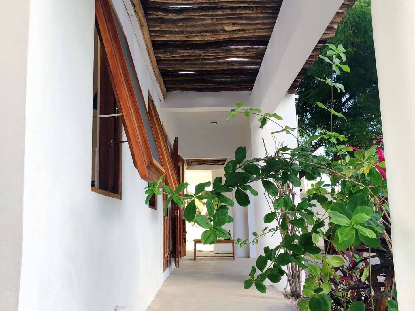 Kotch | Treasure Beach, Jamaica