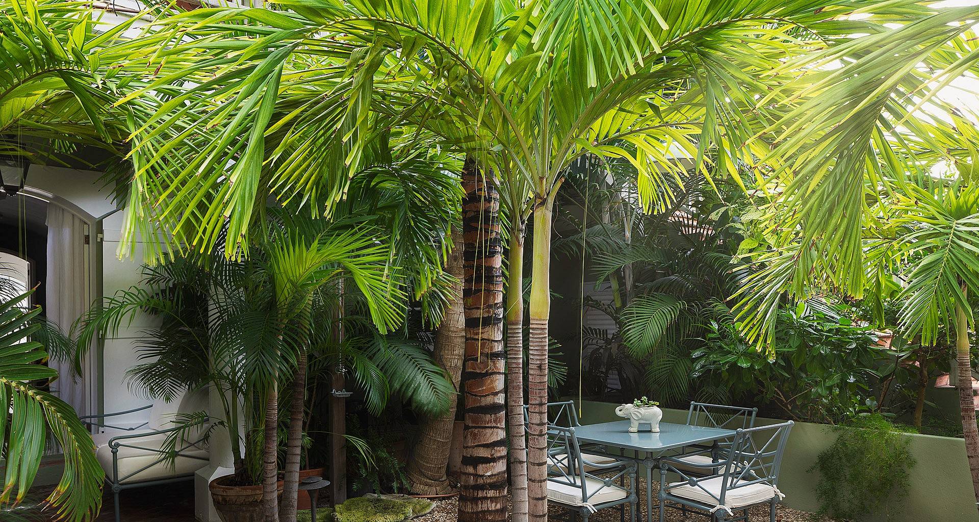 Botanist | Gustavia, St. Barts