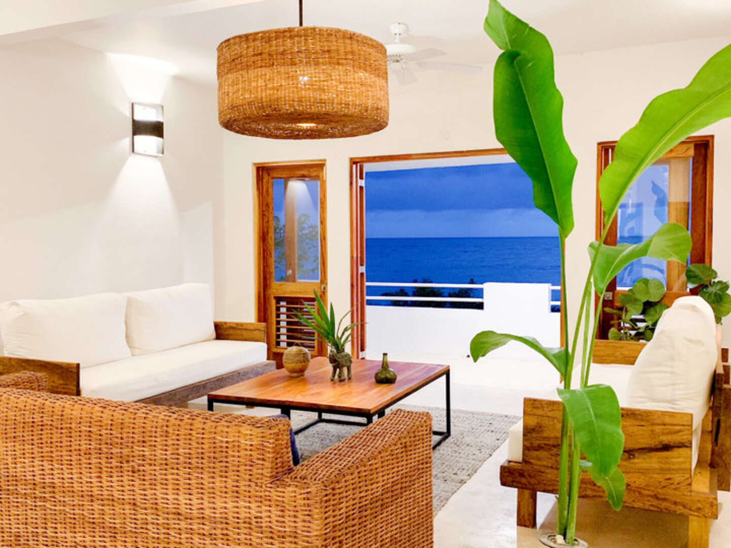 Kotch | Treasure Beach, Jamaica